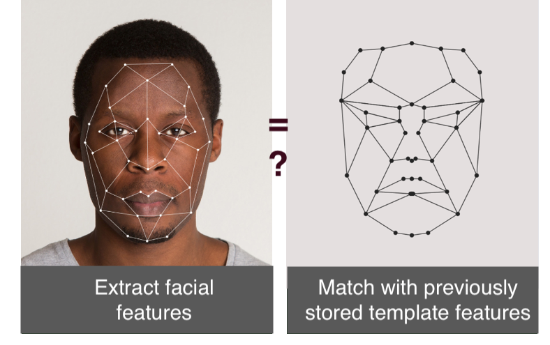 Facial Recognition: Sample vs. Template Technologies – BundyPlus Help ...